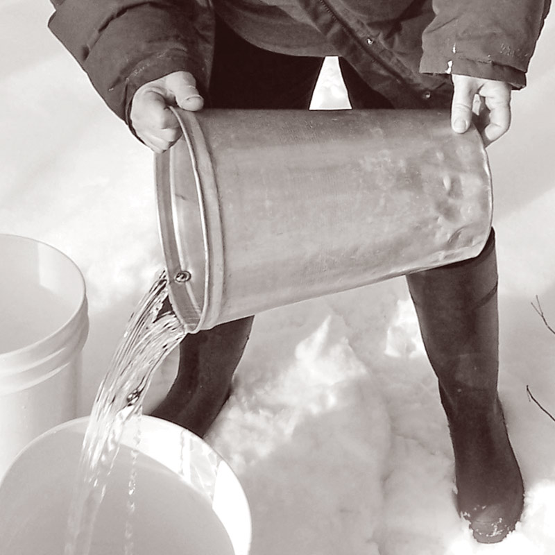 Adding Sap To The Pan | Smoky Lake Maple Products, LLC
