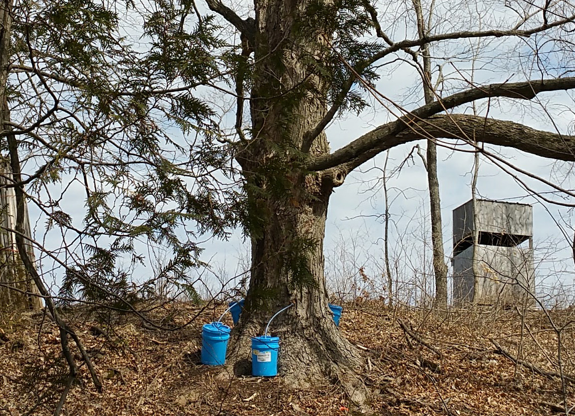 How To Install Tubing | Smoky Lake Maple Products, LLC