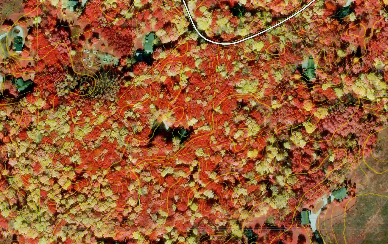 Infrared Color Maps Highlight Forest Diversity | Smoky Lake Maple ...