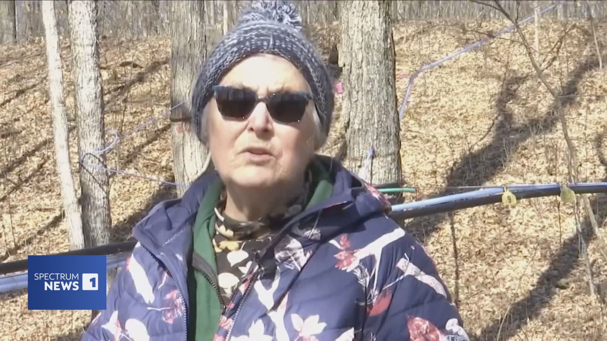 Maple syrup producers eye potential tariff impacts | Smoky Lake Maple ...