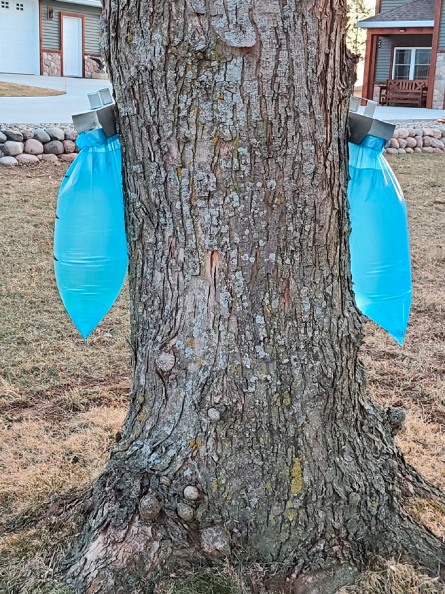 Sap Collection Bags, FULL CASE (250 bags) | Smoky Lake Maple Products, LLC