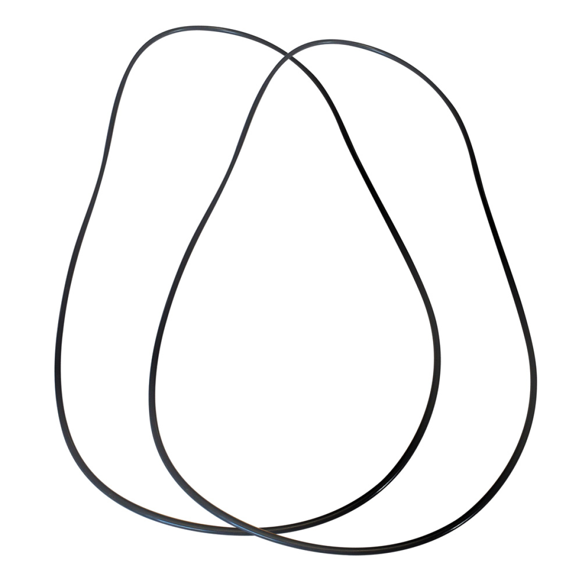 O-Ring Gaskets, Set of 2 (for Vacuum Applicator System) | Smoky Lake ...