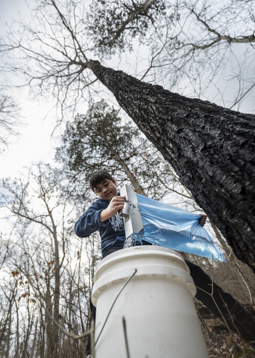 Sap Collection Bag Options | Smoky Lake Maple Products, LLC