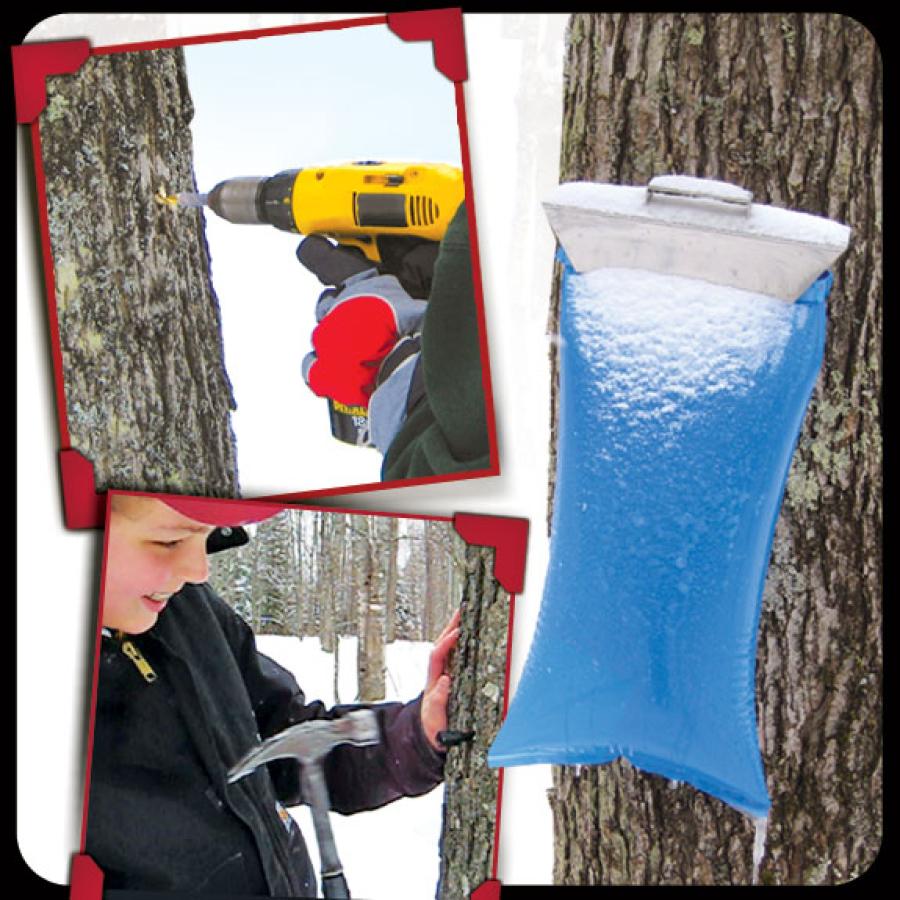 Beginner Backyard Sugaring – How To Make Your Own Maple Syrup - Smoky ...