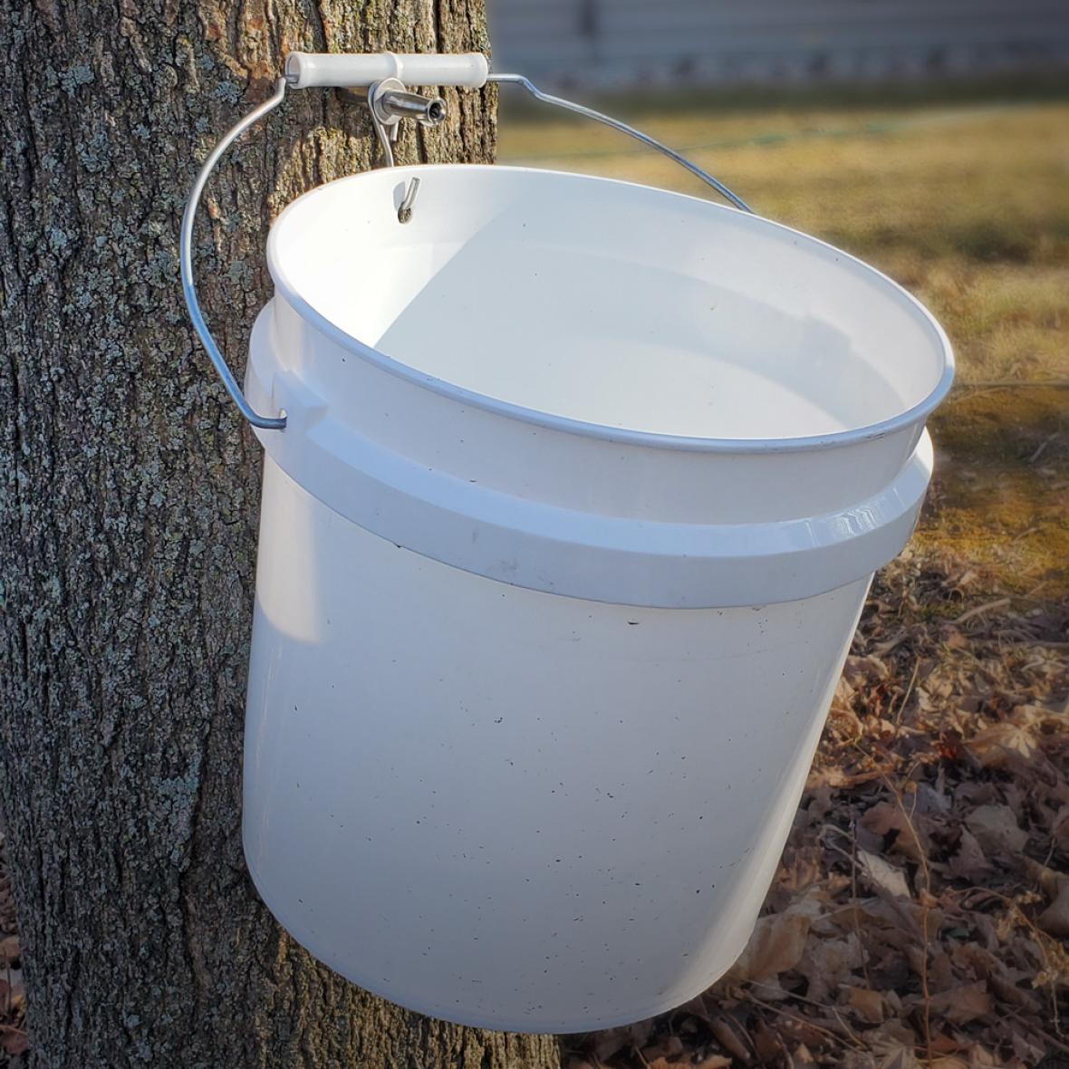 Smoky Lake Bucket and Bag Spouts, 25-Pack (With Tapping Bandolier ...
